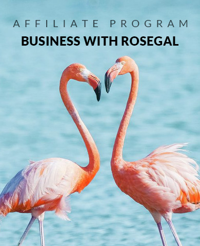 RoseGal: Womens Plus Size Trends & Mens Fashion Styles Online